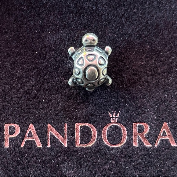 Pandora | Jewelry | Pandora Charm Turtle | Poshmark